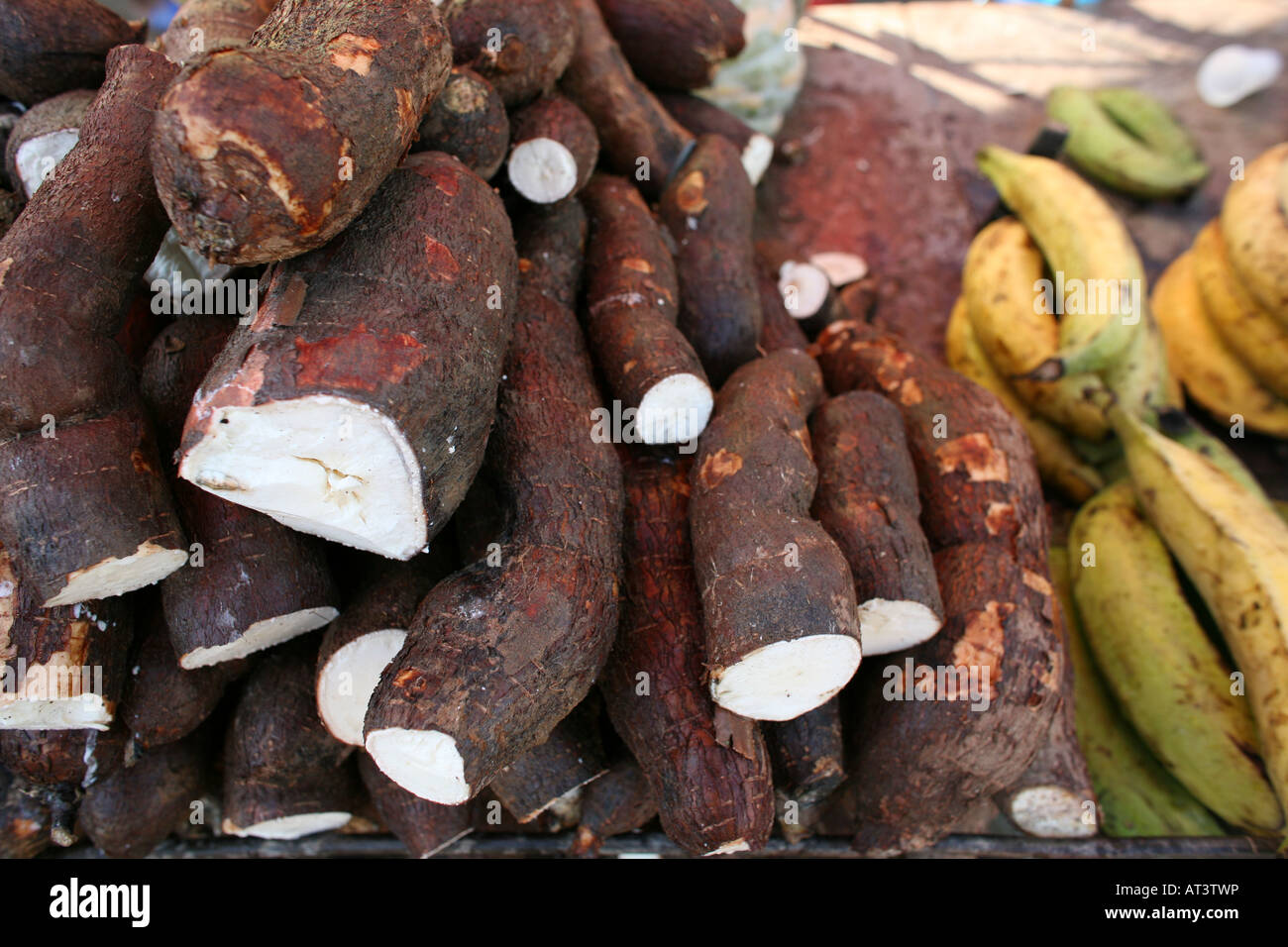 Fruits are Colombians export products especially bananas and oranges ...