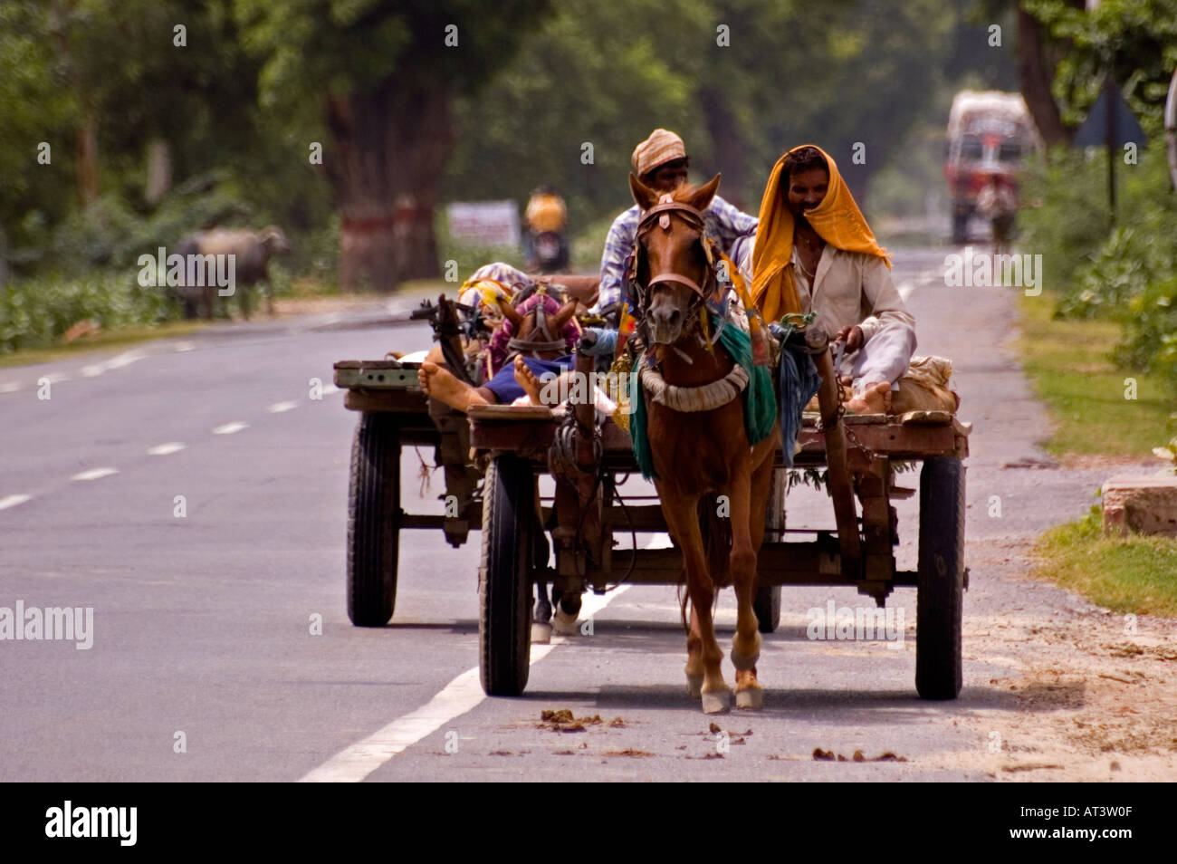 Men load horse cart hi-res stock photography and images - Alamy