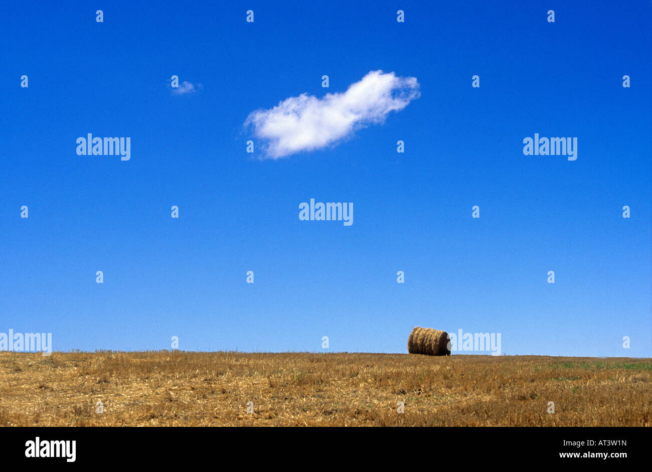 Hay bales in Auvergne, France Stock Photo - Alamy
