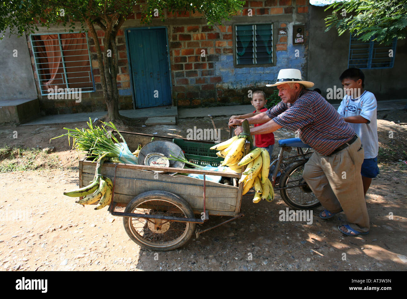Fruits are Colombian export products especially bananas and oranges are ...