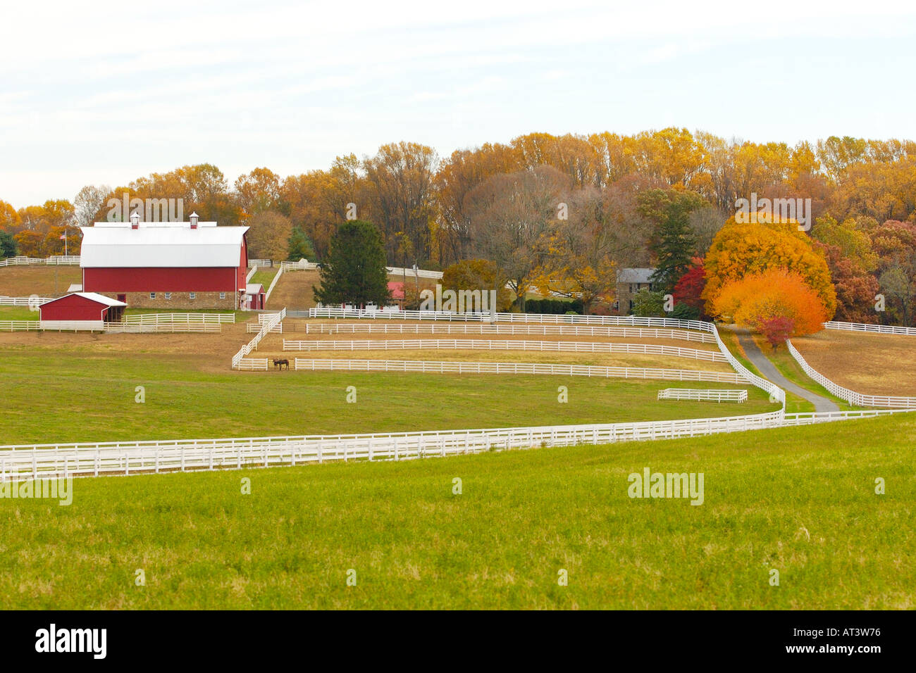 Scenic murmur farm in darlington hi-res stock photography and images ...