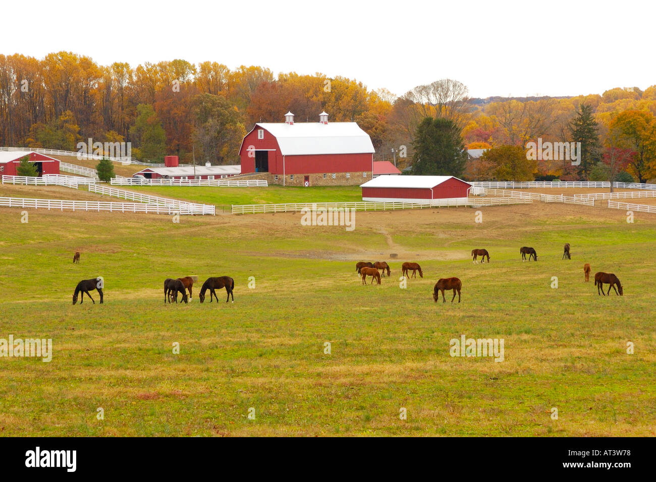 Scenic Murmur Farm in Darlington Maryland Stock Photo - Alamy