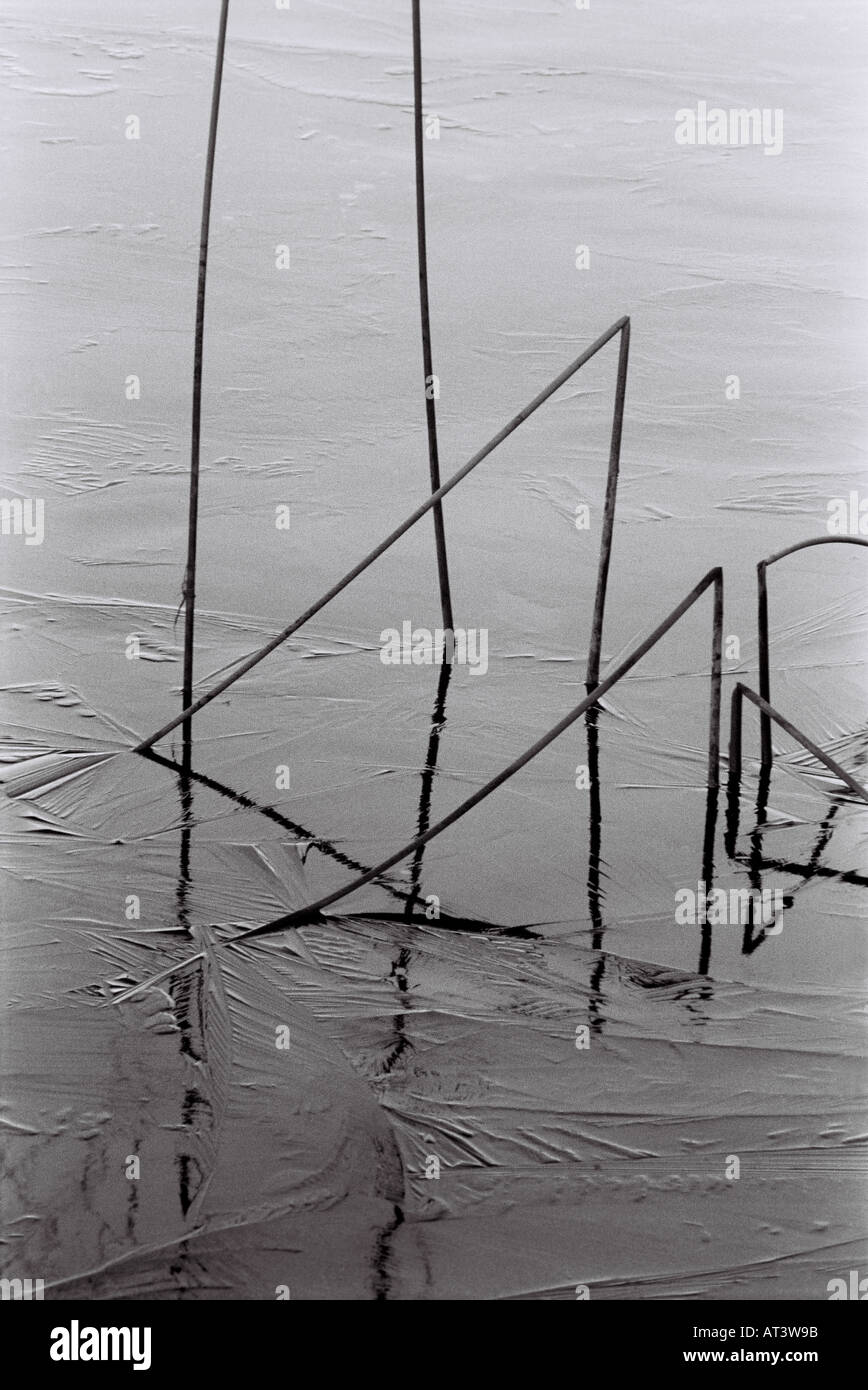 Tules hi-res stock photography and images - Alamy