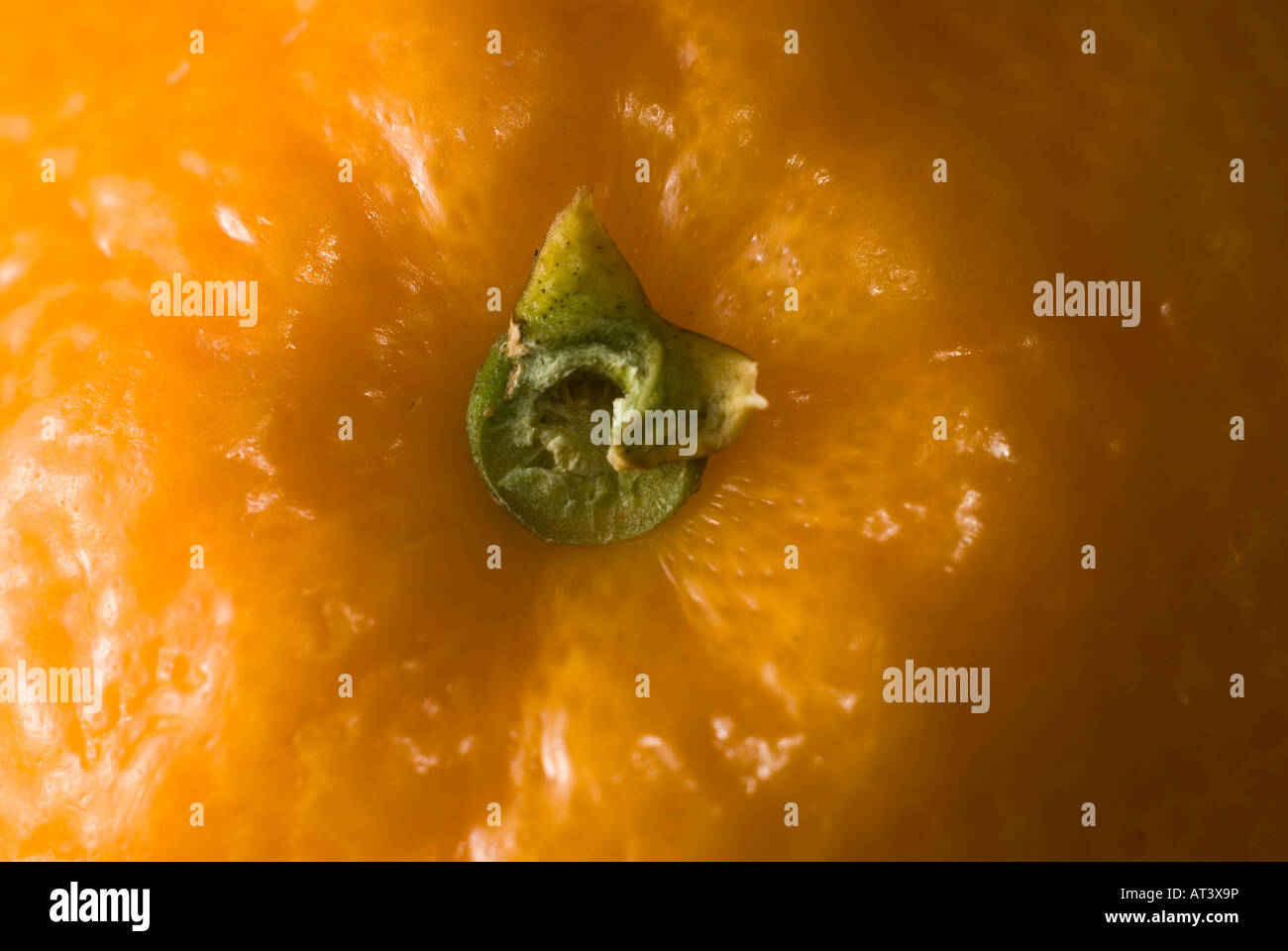 Orange close up Stock Photo - Alamy