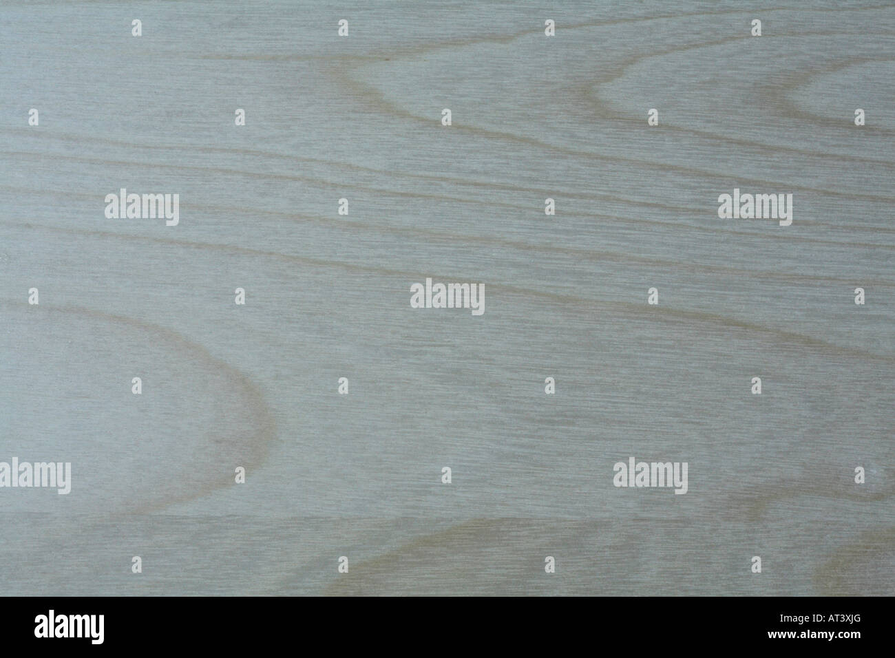Pale oatmeal birch wood with butter colored major looping grain and ...