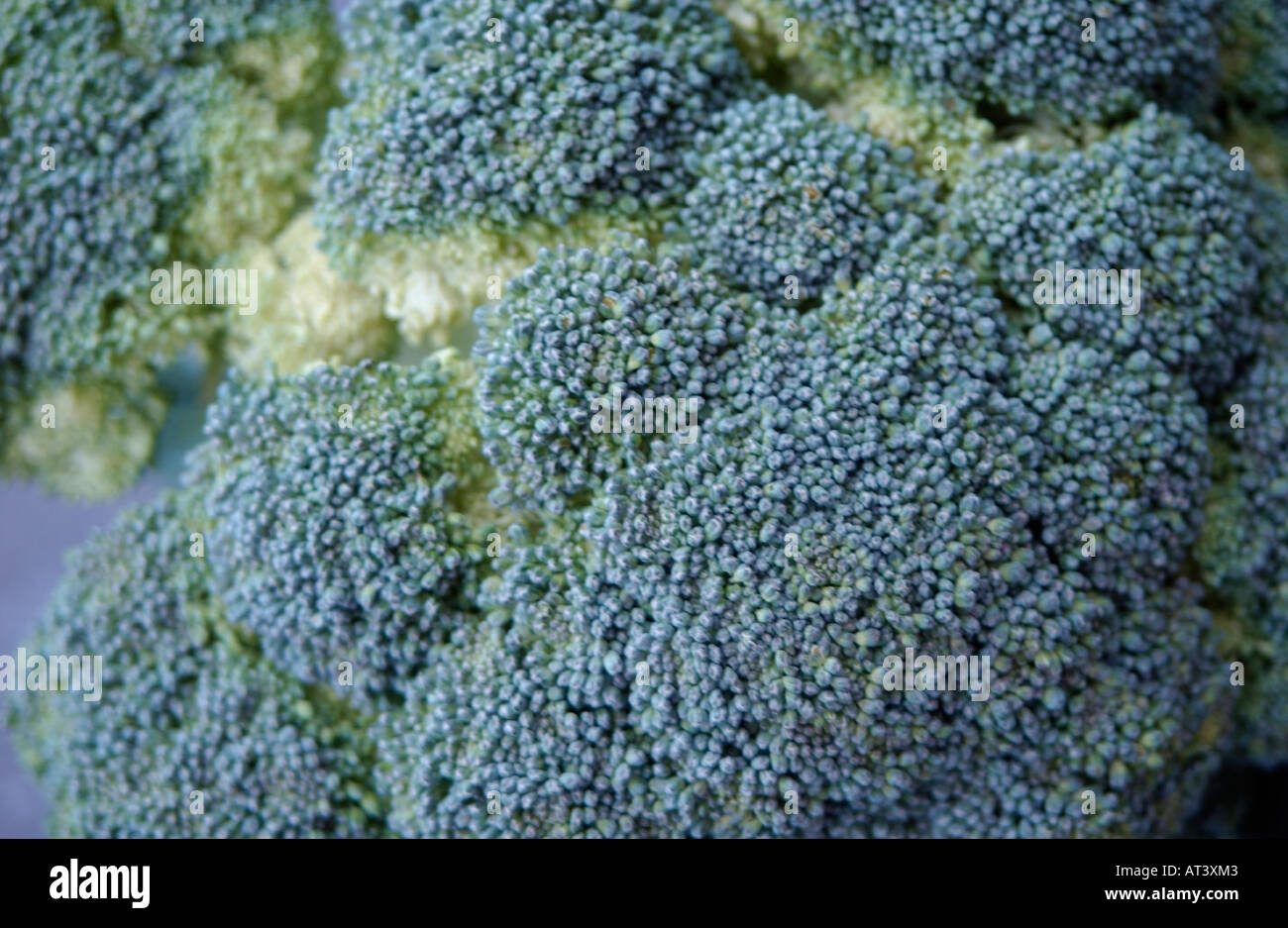 Soild structure hi-res stock photography and images - Alamy