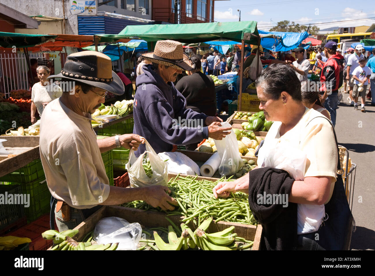 Costa Rica Cartago Parque San Rafael Saturday Market vegetable stall ...