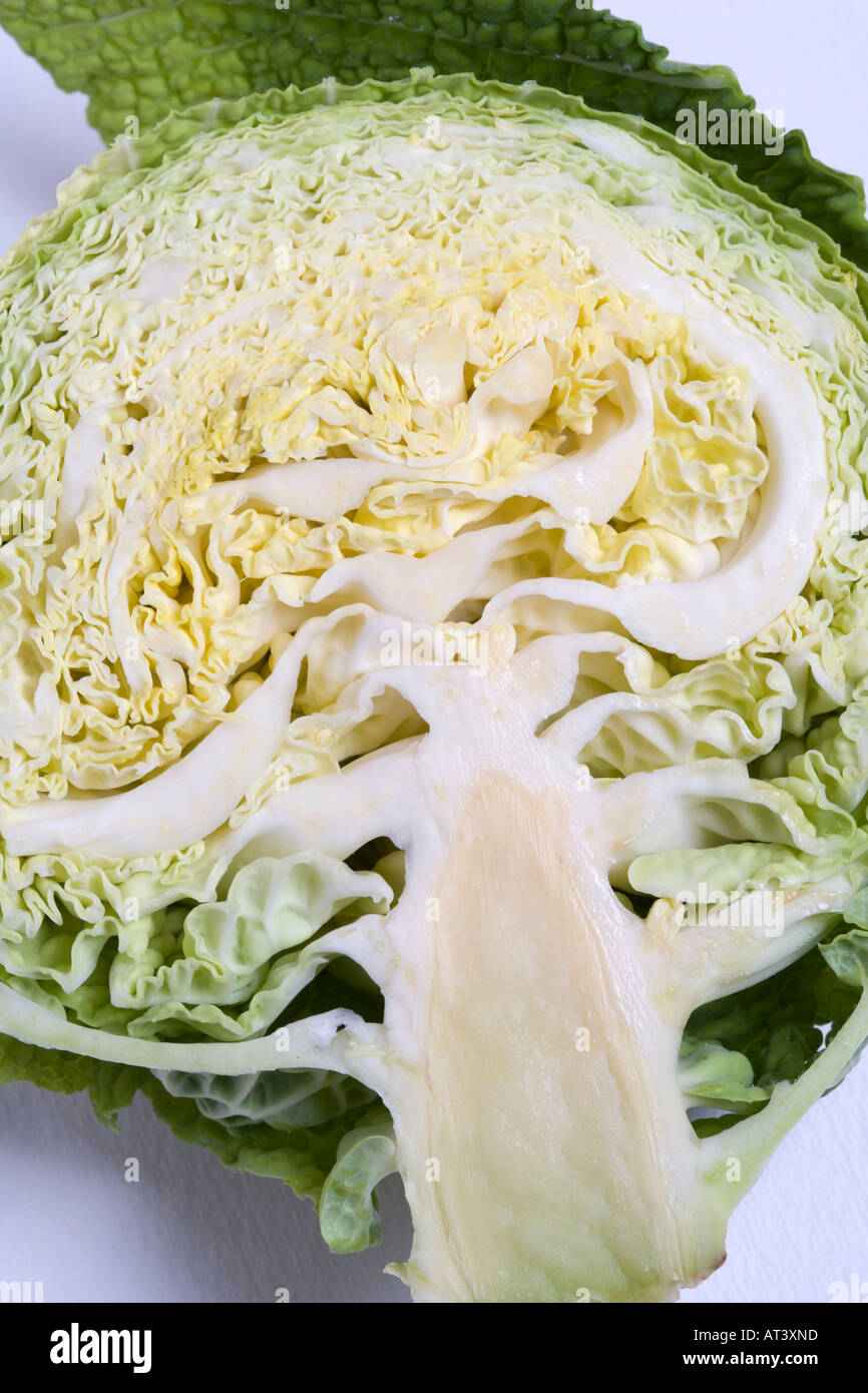 Cabbage cut in half Stock Photo - Alamy