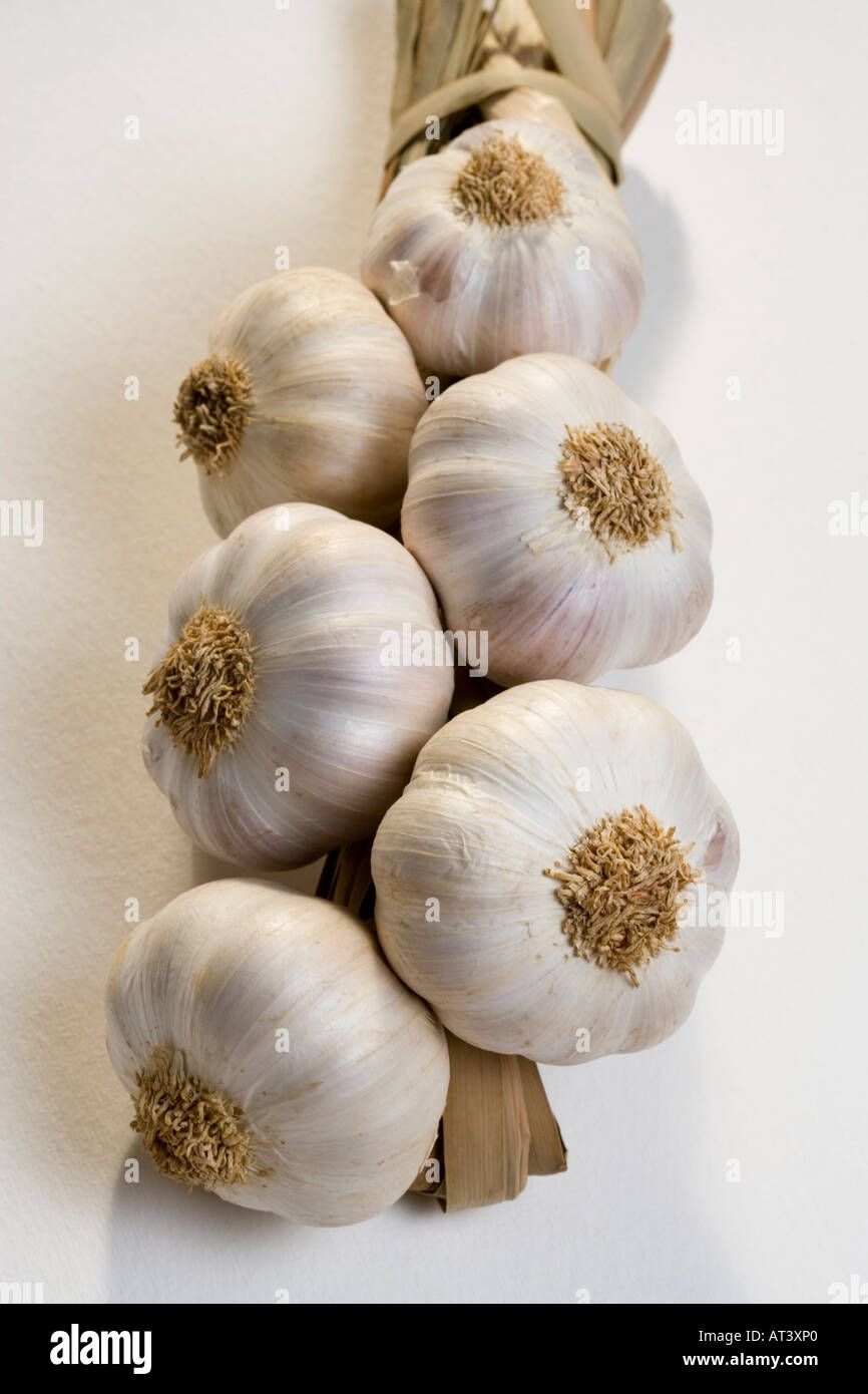 String of Hanging Garlic herbs Stock Photo - Alamy