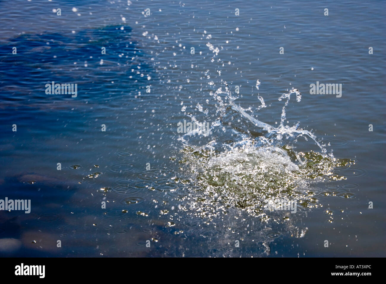 Splash pebble thrown into the sea Stock Photo - Alamy