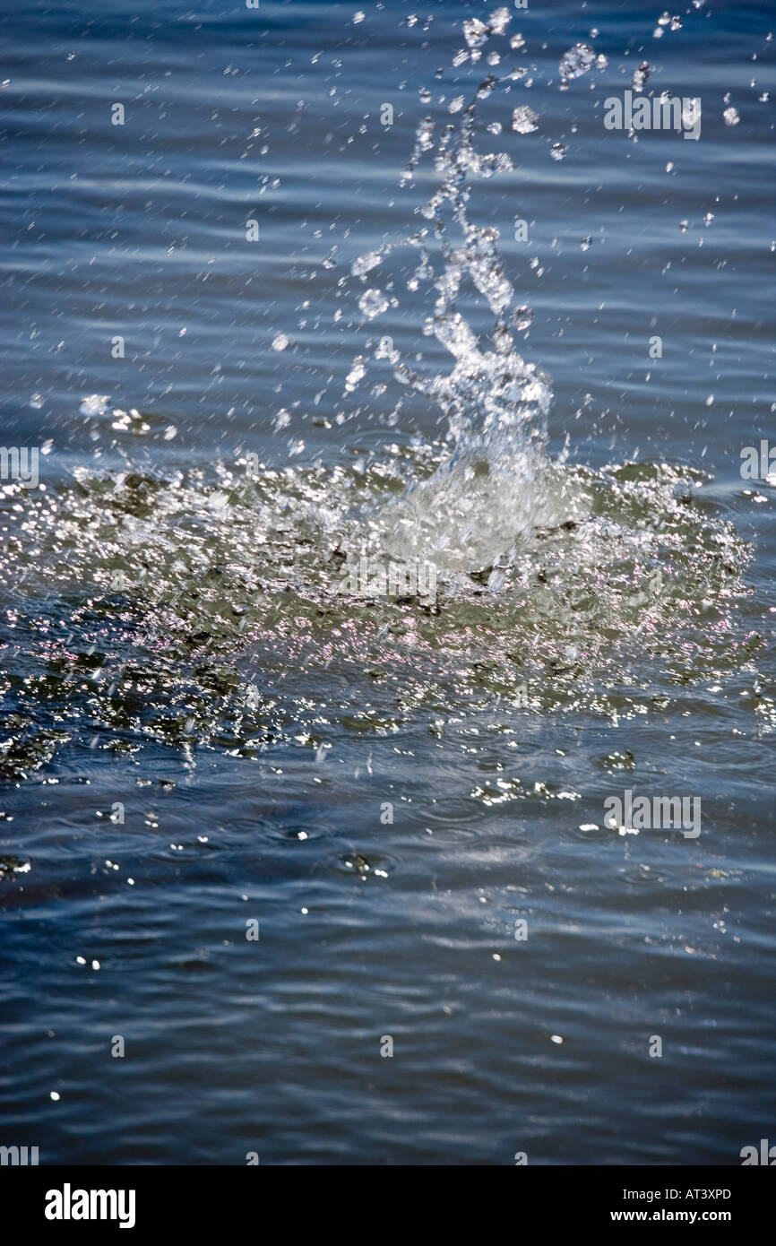 Splash of water in sea Stock Photo - Alamy