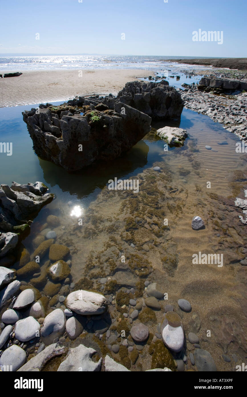 Encourage Soil Organisms High Resolution Stock Photography and Images ...