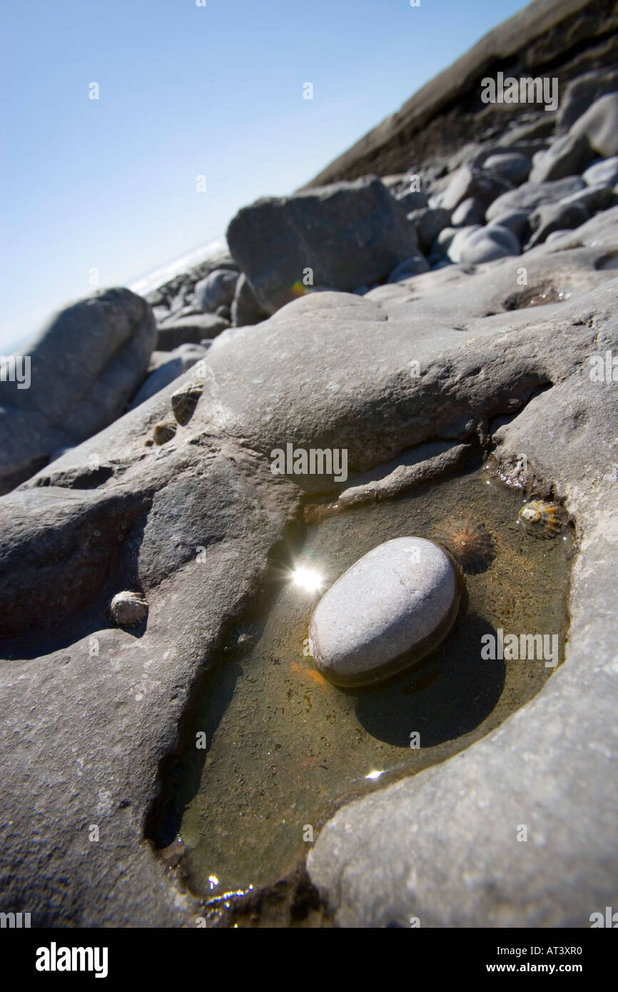 Pebble with sun reflection in pool of water on rocky beach Stock Photo ...