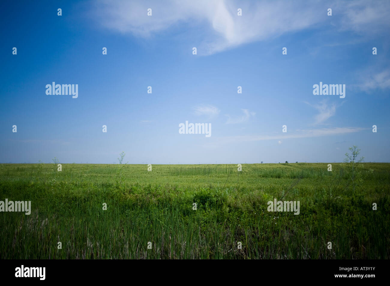 wide landscape with green field and blue sky Stock Photo - Alamy
