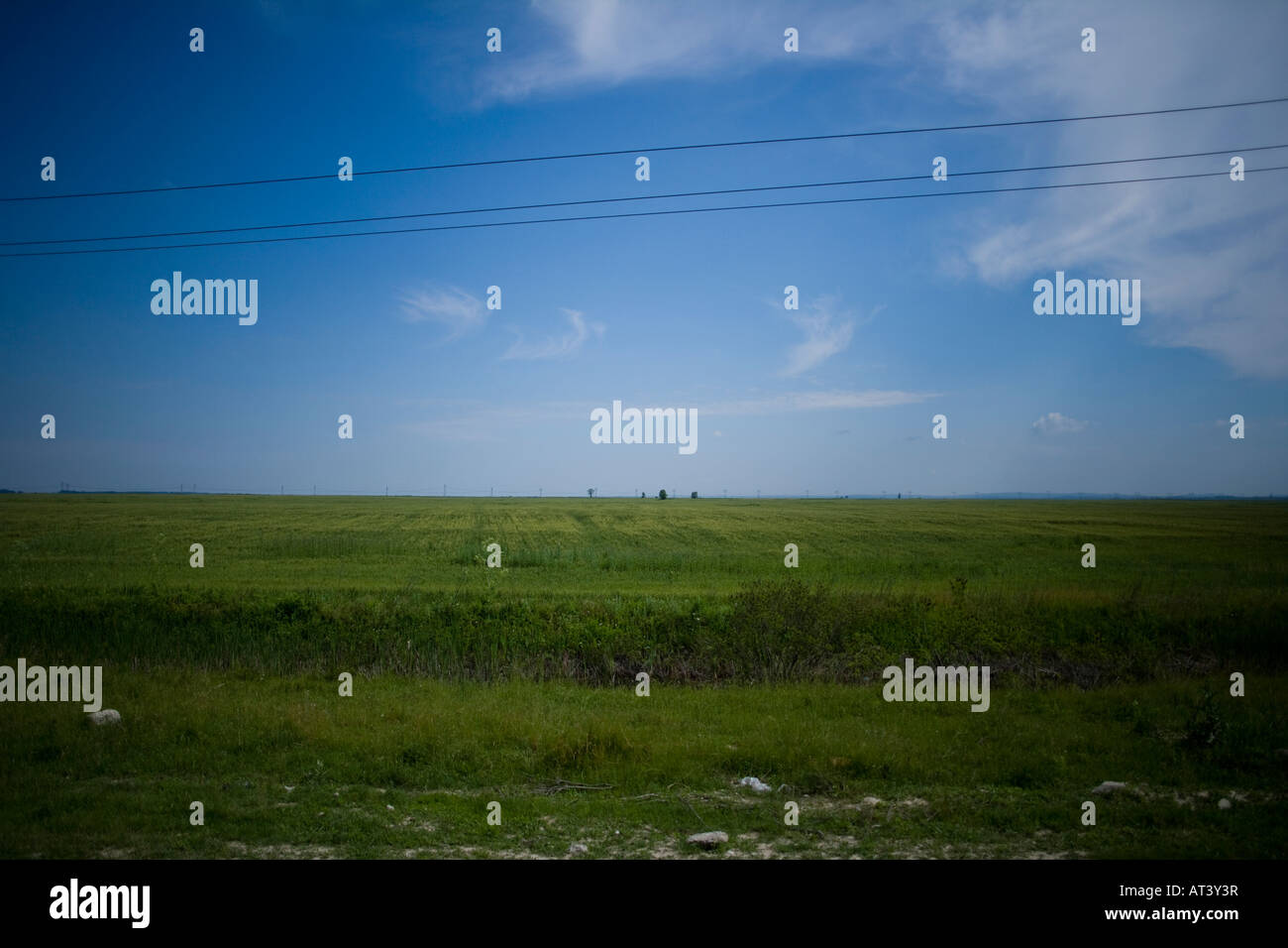 wide landscape with green field and blue sky Stock Photo - Alamy