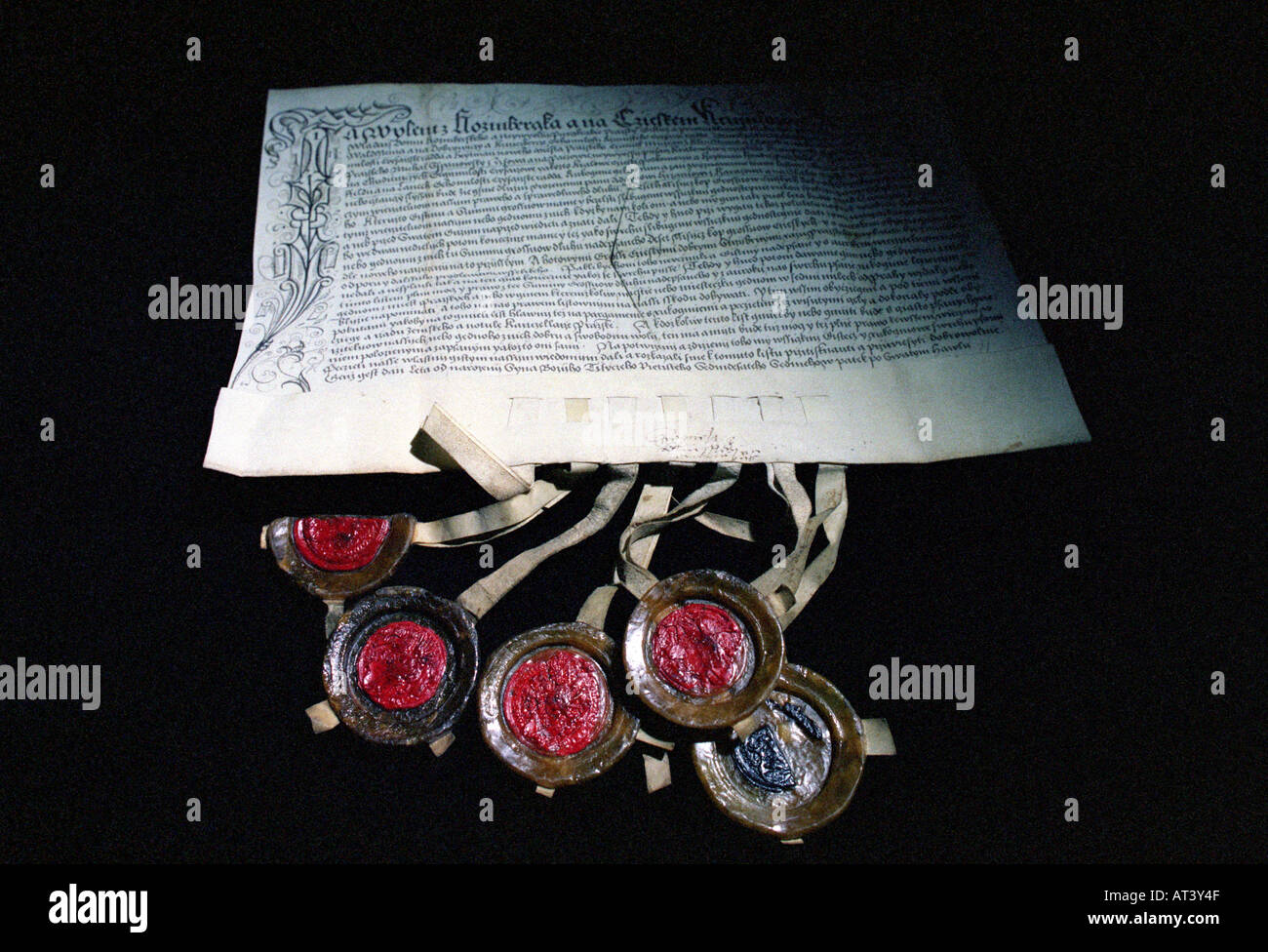 Noble seal hi-res stock photography and images - Alamy