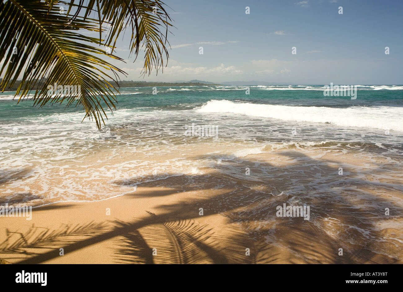 Costa Rica Caribbean Coast Manzanillo shadows of palm trees on tropical ...