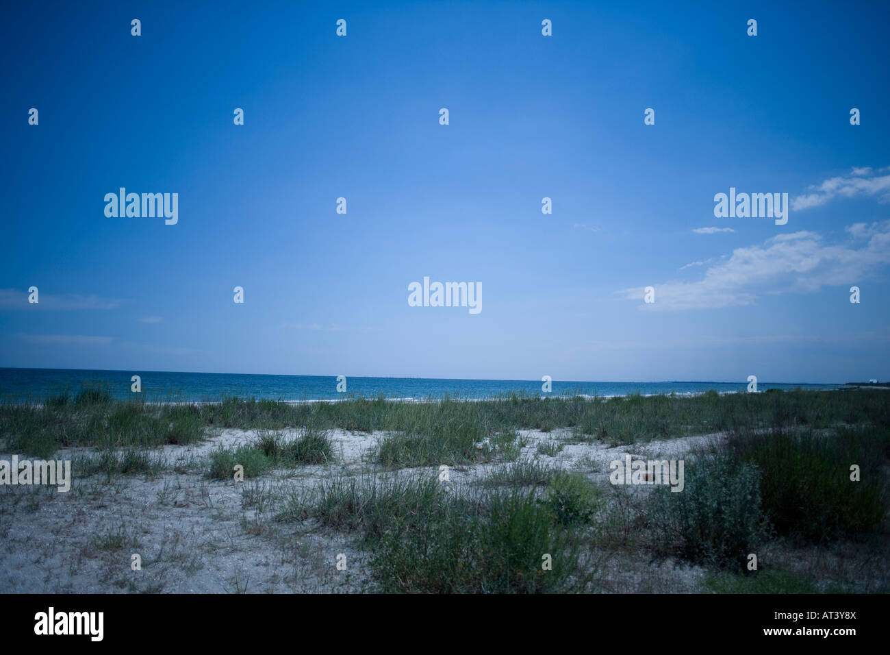 natural untouched beach at the ocean Stock Photo - Alamy