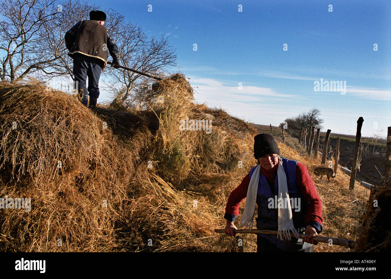 farmers in Chilia Stock Photo - Alamy