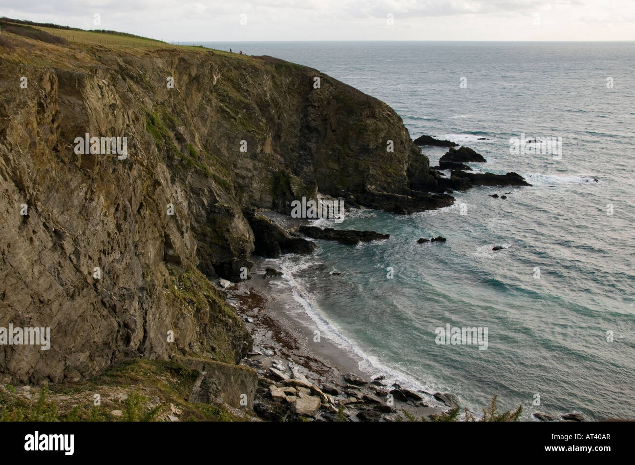 Gribben head hi-res stock photography and images - Alamy