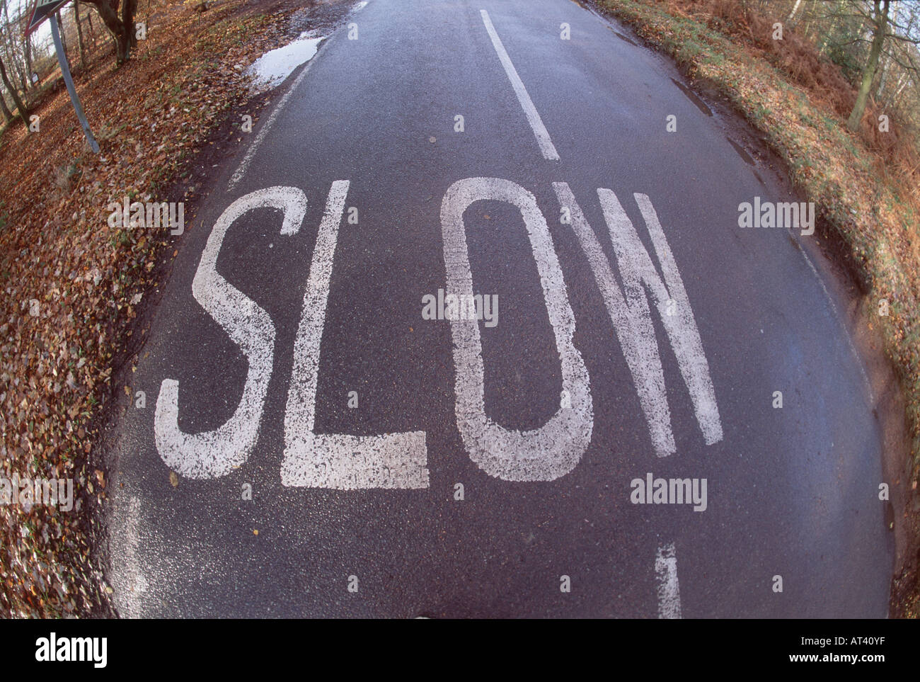 Slow road sign on forest road Stock Photo - Alamy