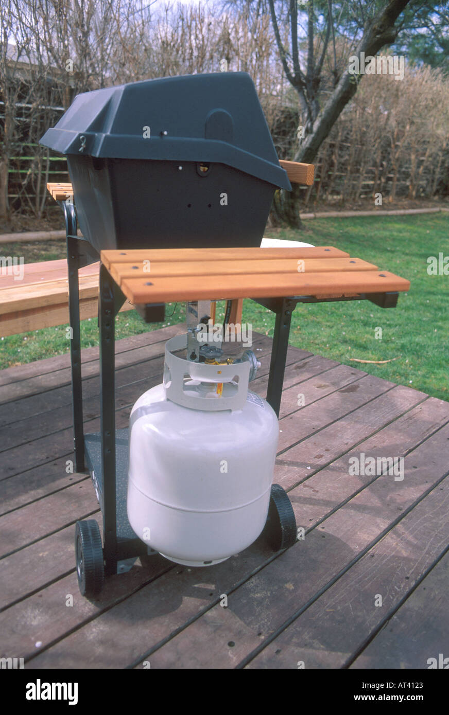 Propane barbecue on a backyard patio Stock Photo - Alamy