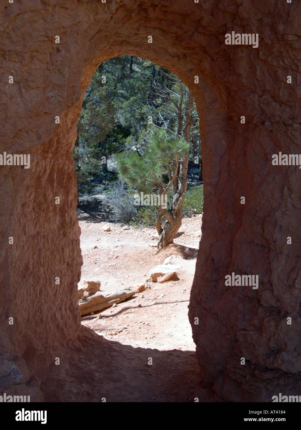 Trail access is cut through solid rock on the Queen's Garden Trail in ...