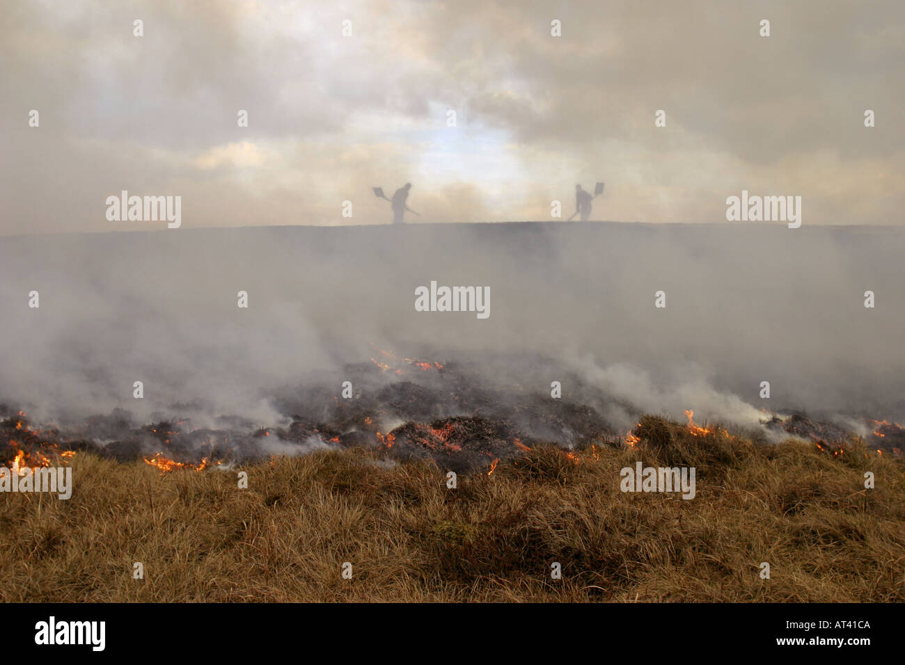 Fire grouse hi-res stock photography and images - Alamy