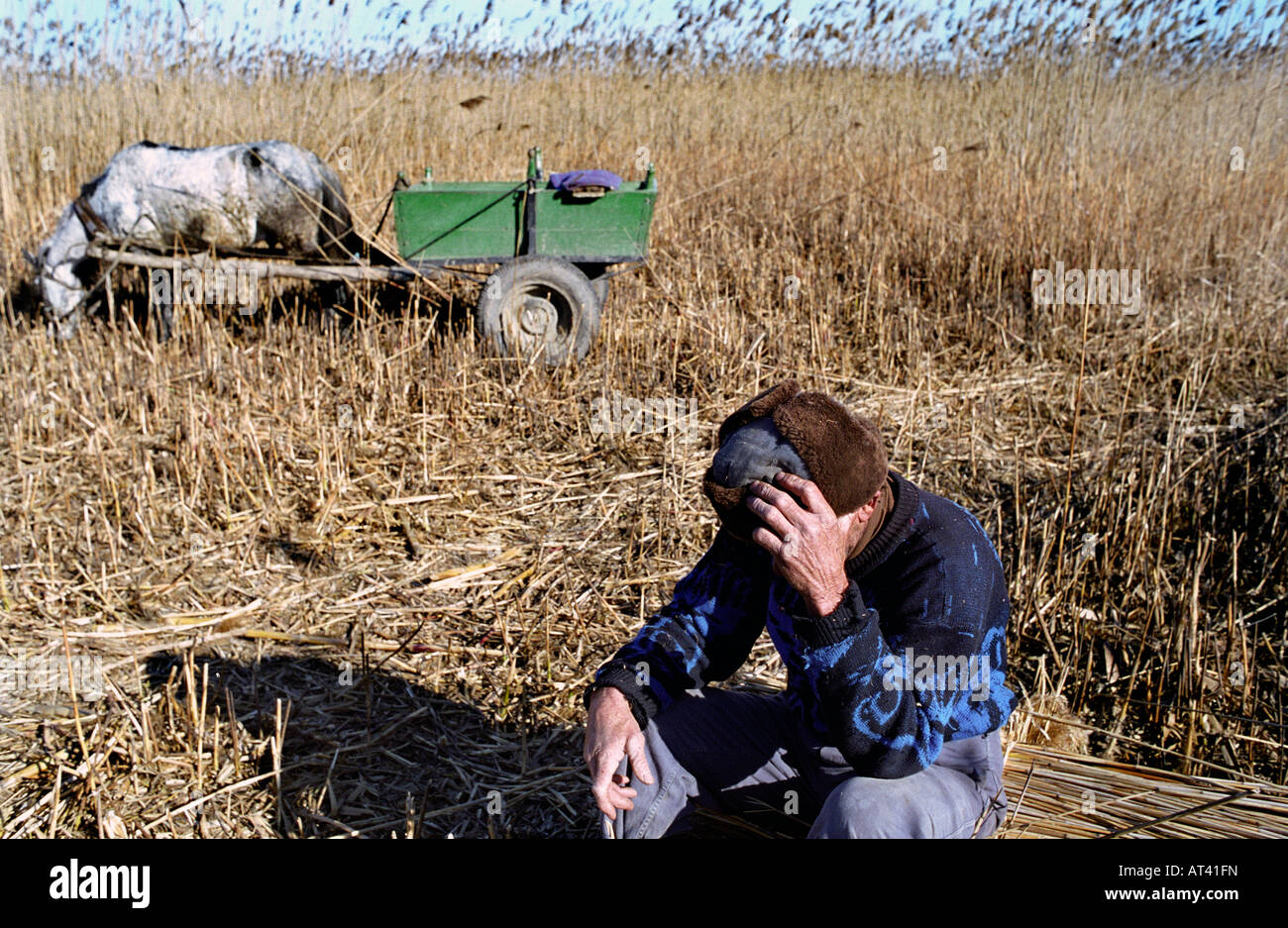 Tired Farmer High Resolution Stock Photography and Images - Alamy