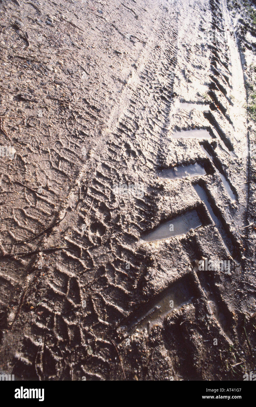 Tire track in mud Stock Photo - Alamy