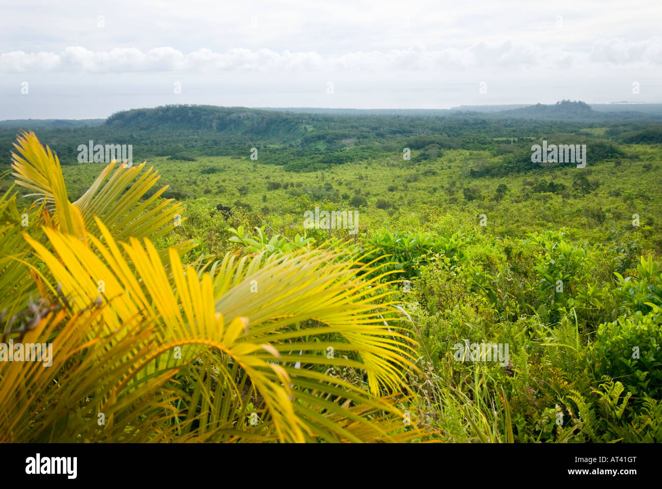 SAMOA ISLAND Savaii Mt. Matavanu mount crater lava volcano home of ...