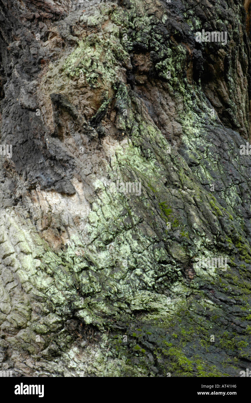 Dark brown streaks hi-res stock photography and images - Alamy