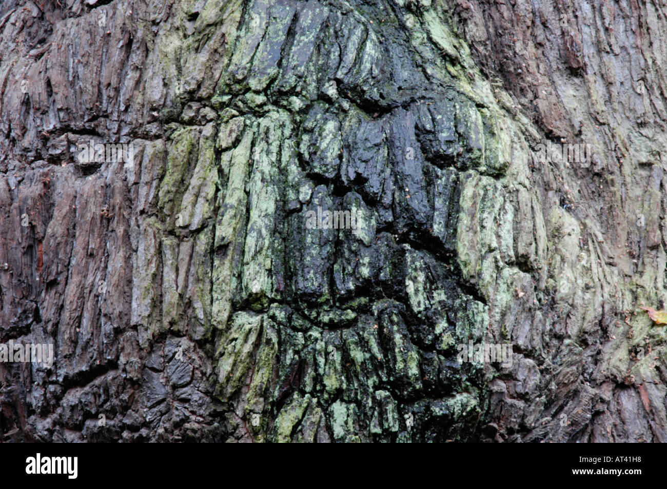 Rough centre hi-res stock photography and images - Alamy