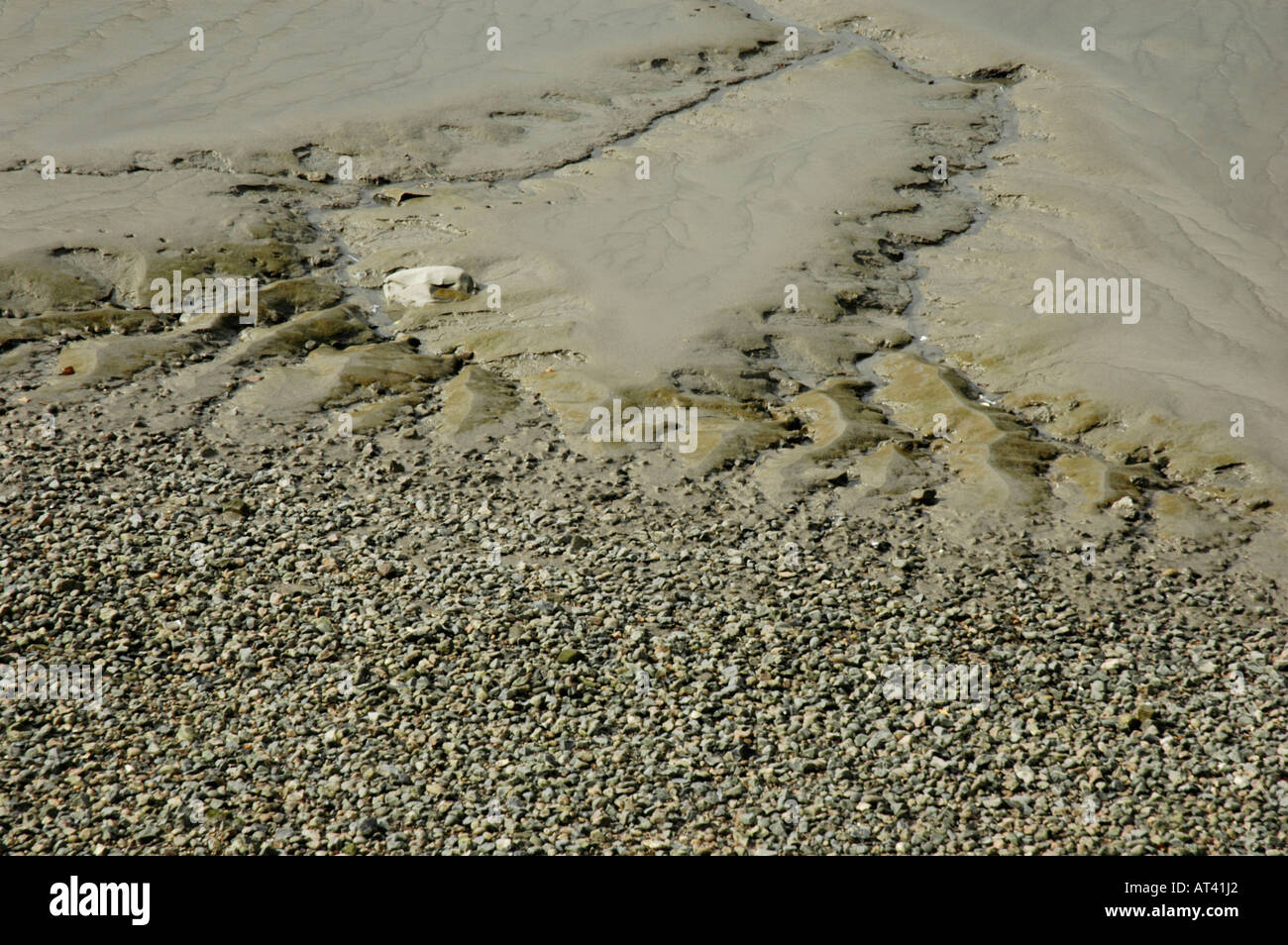 Background image Mud and pebbles on river shore Stock Photo - Alamy