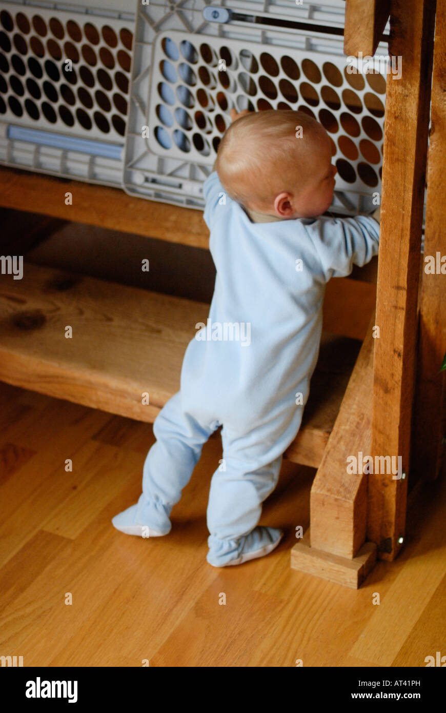 Toddler trying to climb steps with child gate in place Stock Photo - Alamy