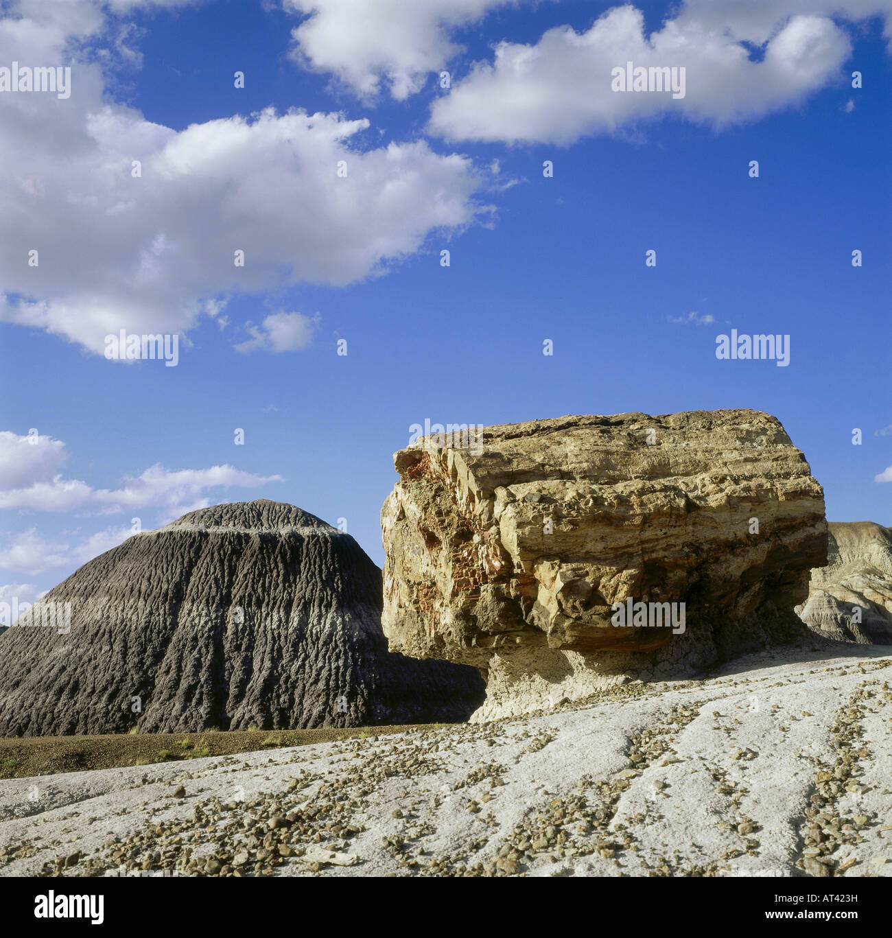 geography / travel, USA, Arizona, Petrified Forest National Park, wood ...