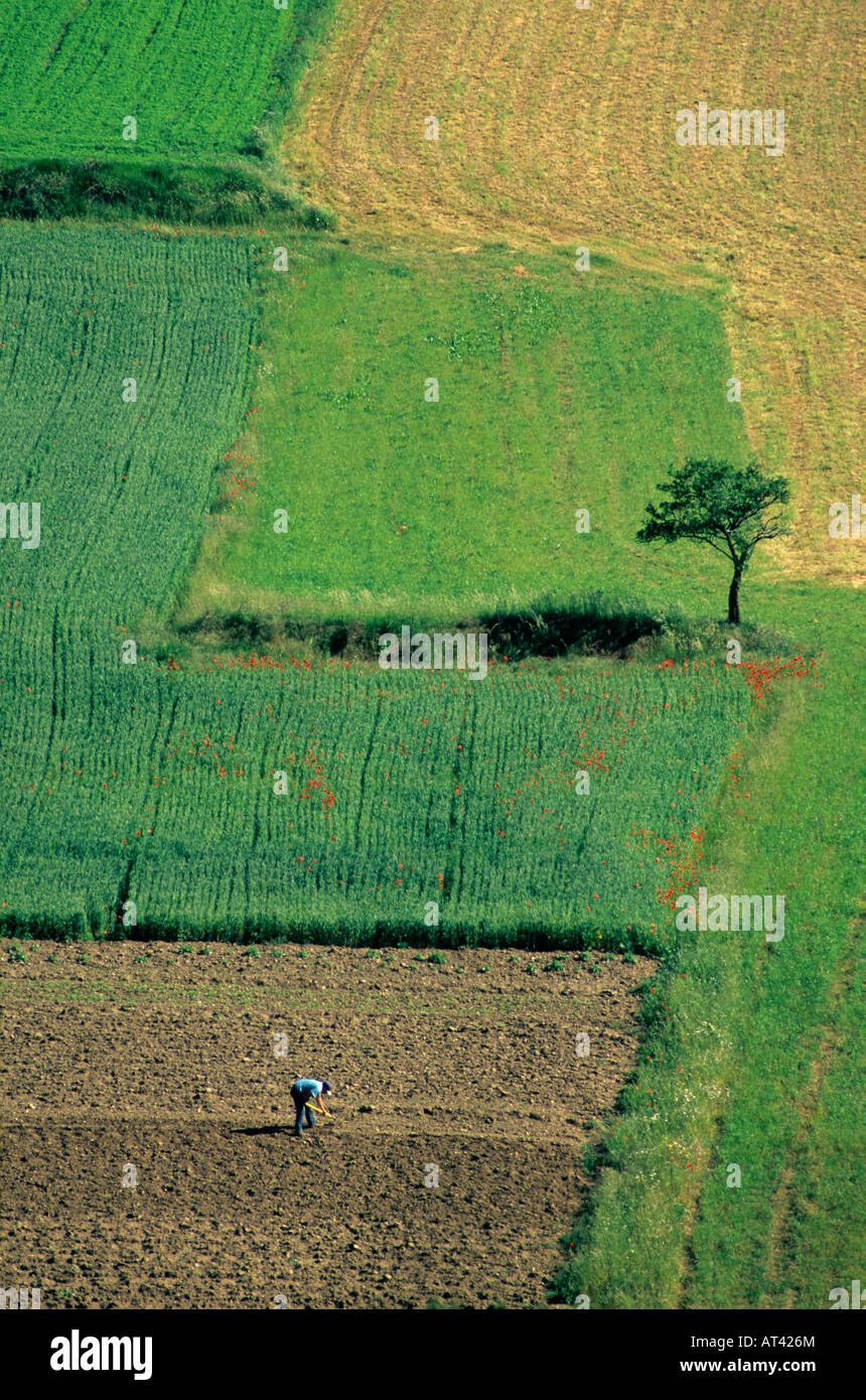 Farmer in a countryside Stock Photo - Alamy