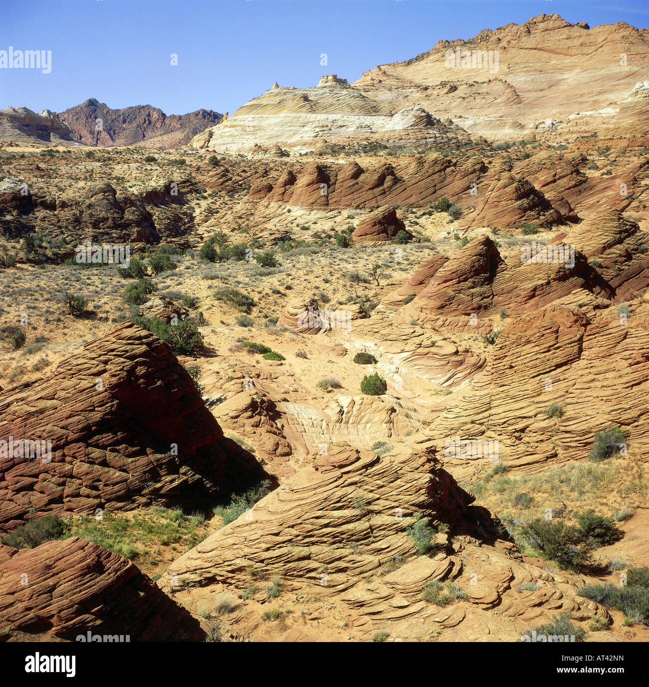 geography / travel, USA, Arizona, rock, landscape, landscapes ...