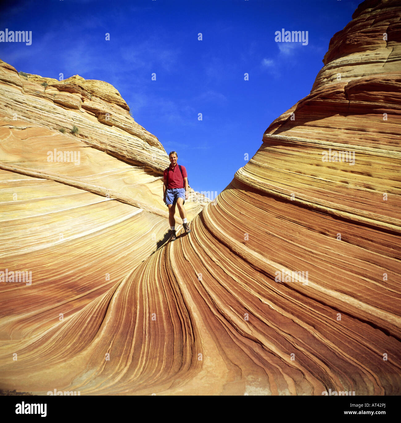 geography / travel, USA, Arizona, man on rock landscape, Vermillion ...