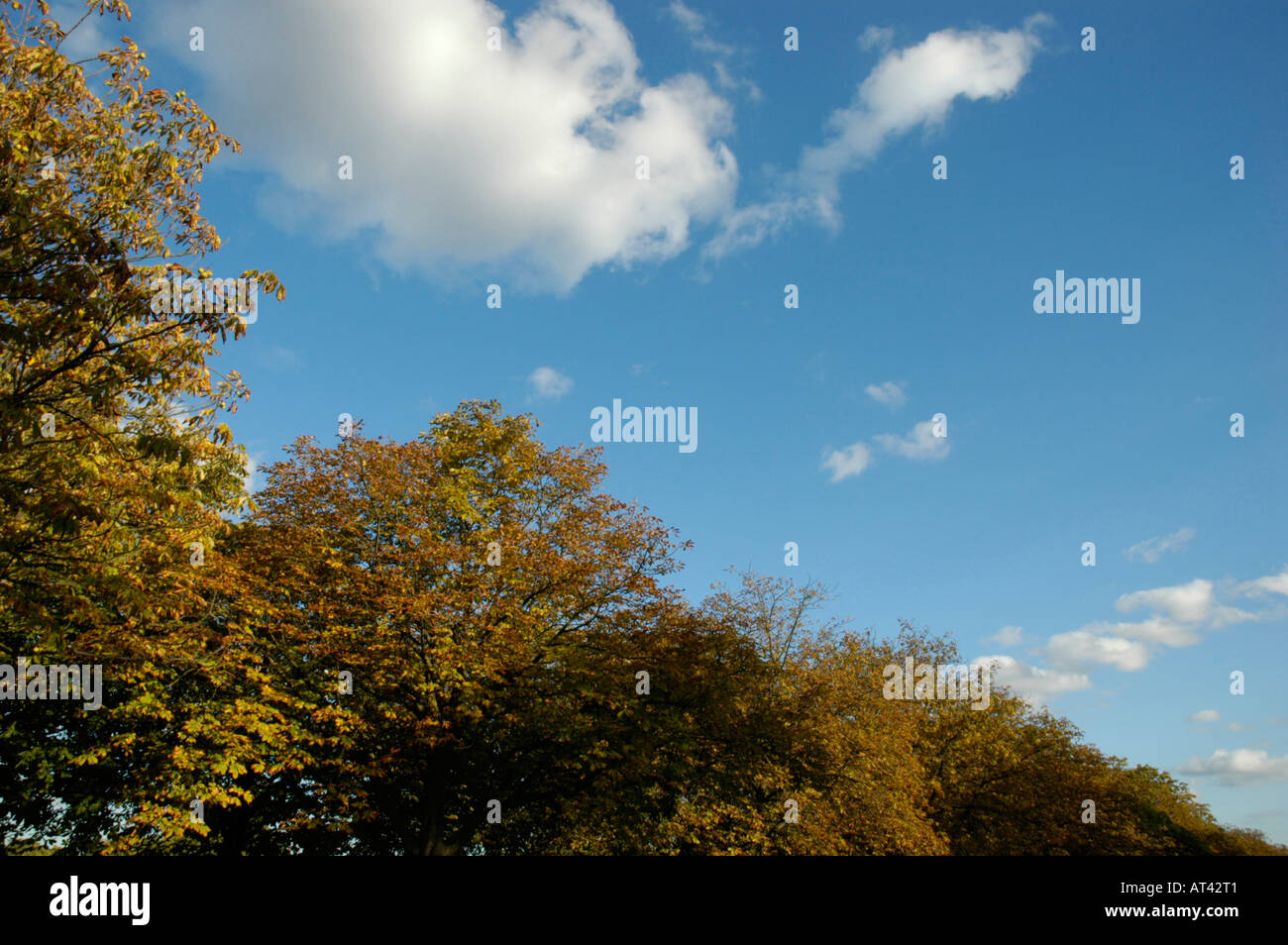Two thirds hi-res stock photography and images - Alamy