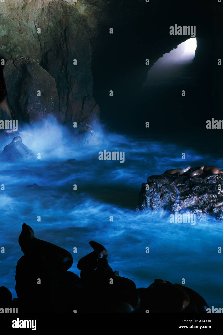Sea cave oregon hi-res stock photography and images - Alamy