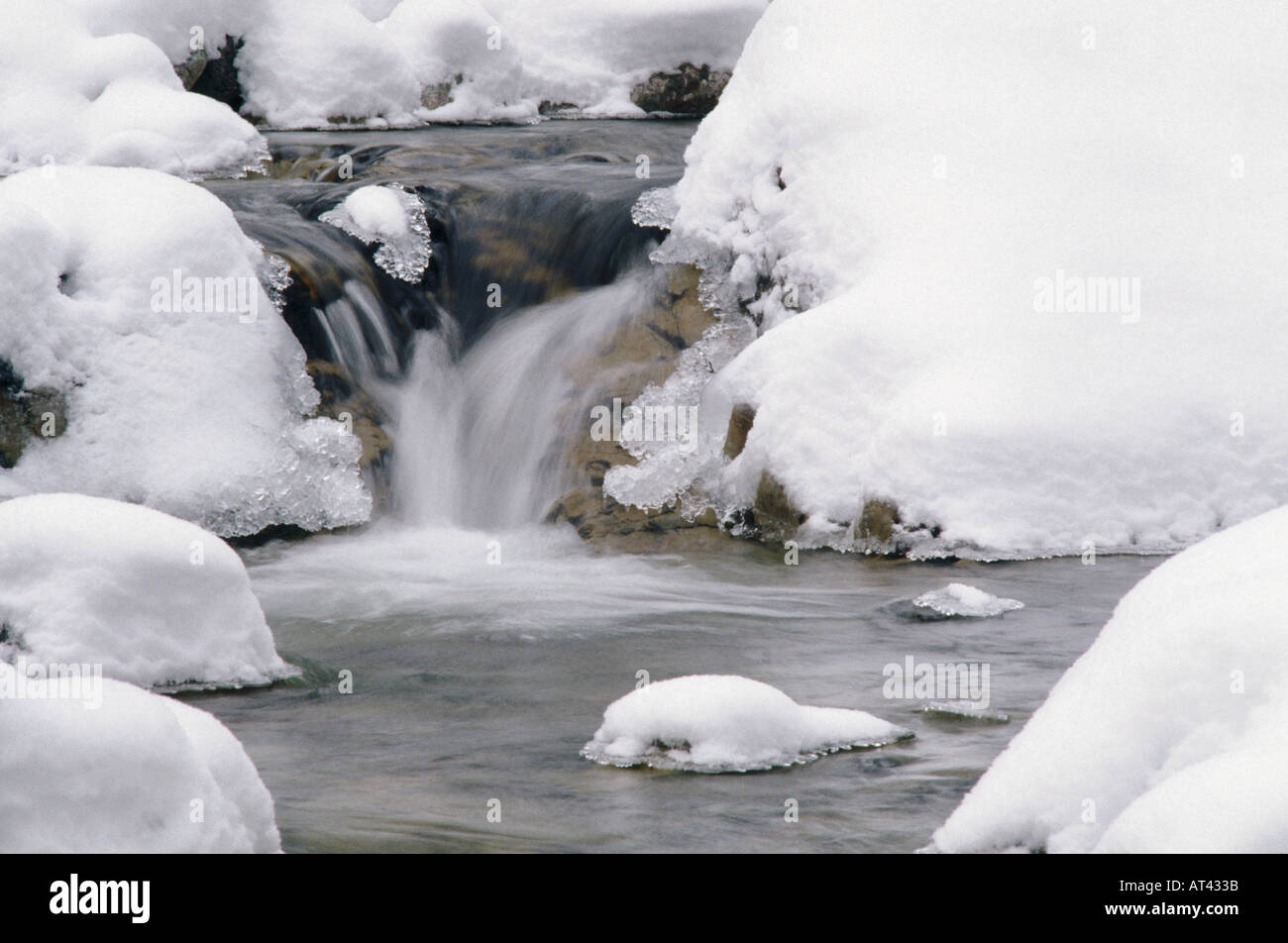 Pacific Northwest Winter Stream Stock Photo - Alamy
