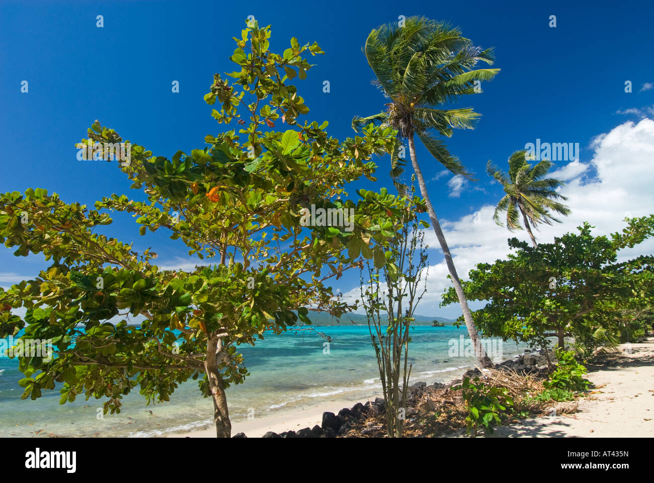 Traditional samoan house hi-res stock photography and images - Alamy