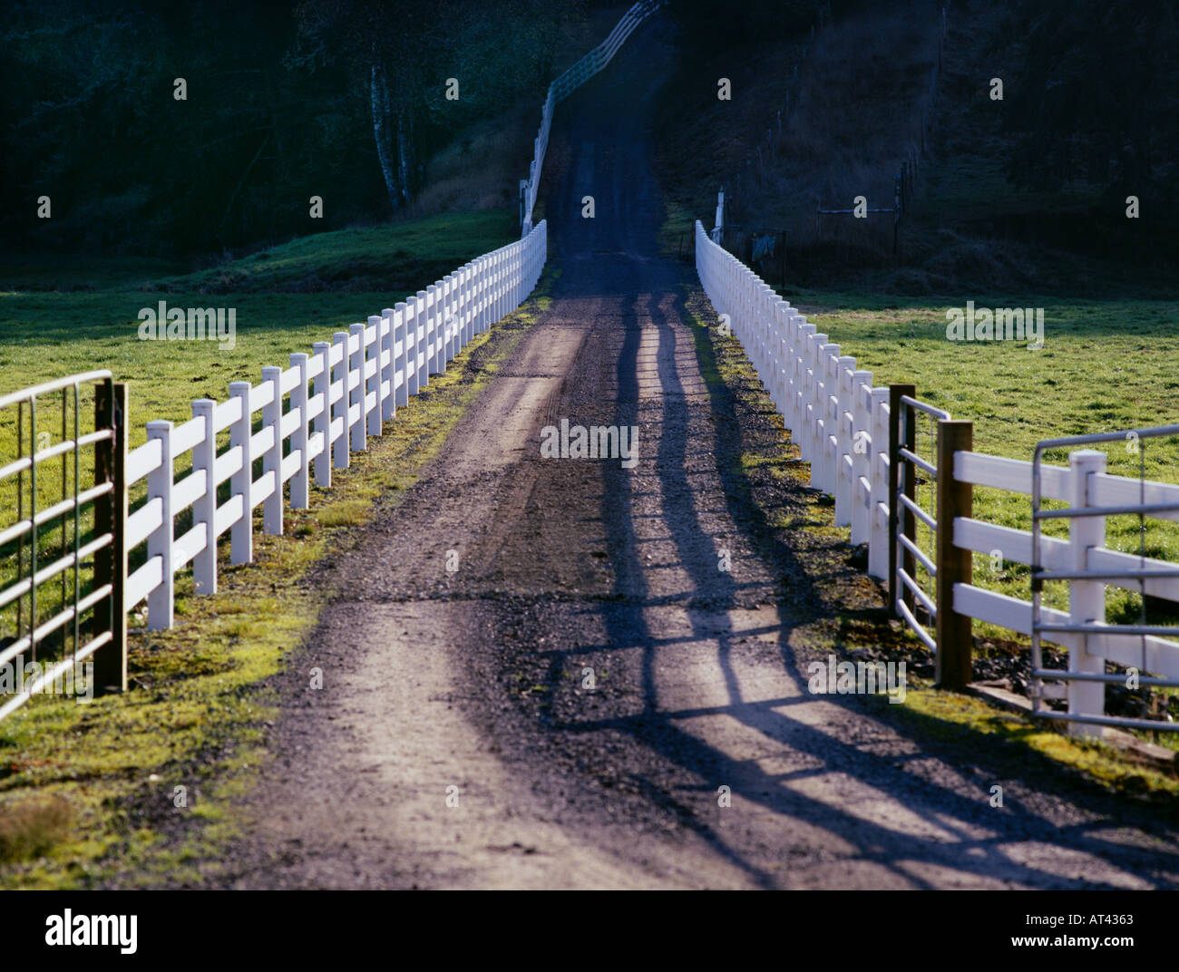 Country driveway hi-res stock photography and images - Alamy