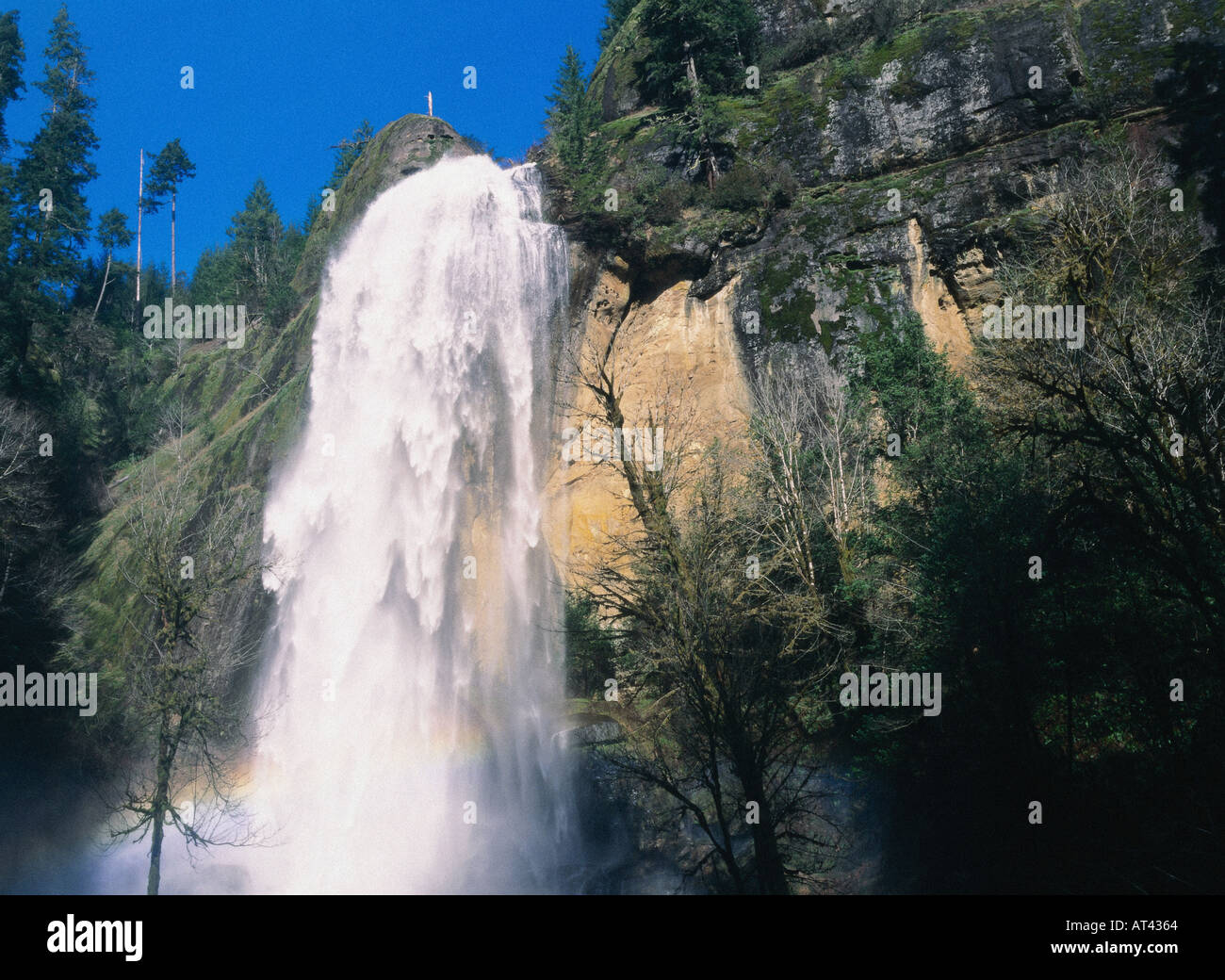 Silver falls in Oregon Stock Photo - Alamy