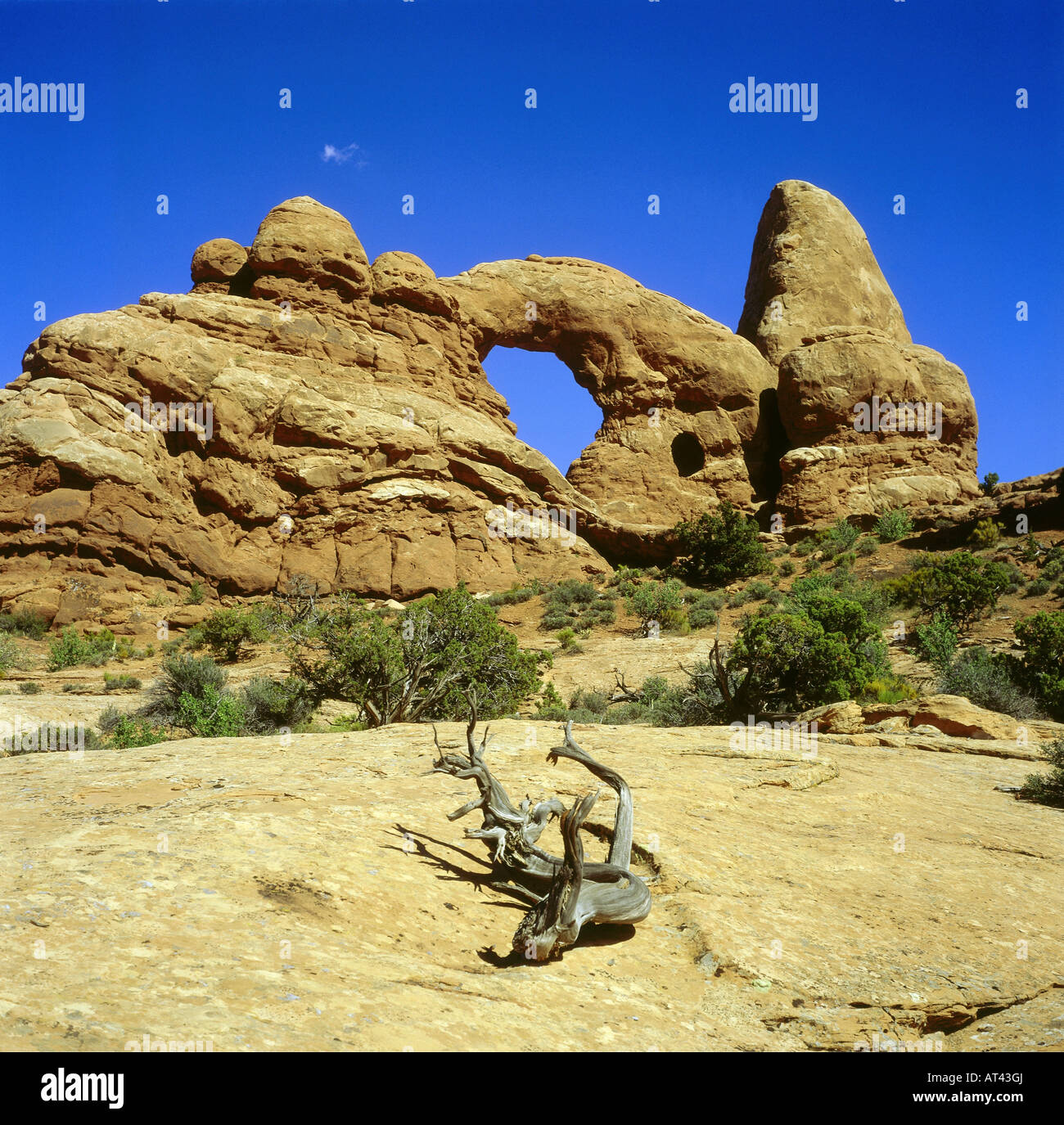 geography / travel, USA, Utah, Arches National Park, Turret Arch Stock ...