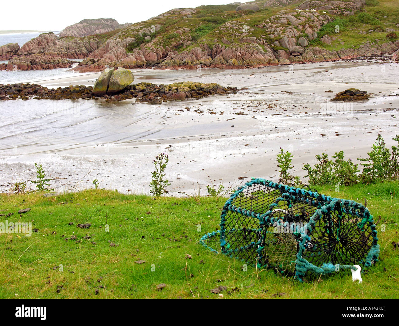 Crayfish trap on the Isle of Iona Scotland Stock Photo - Alamy