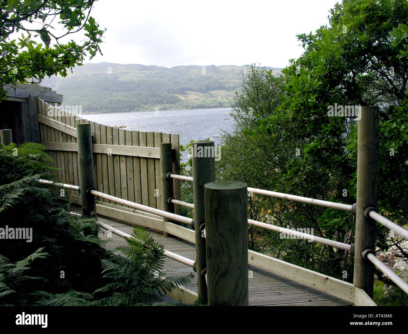 Wooden walkway to a eco tourism lookout point in the Scottish Highlands ...