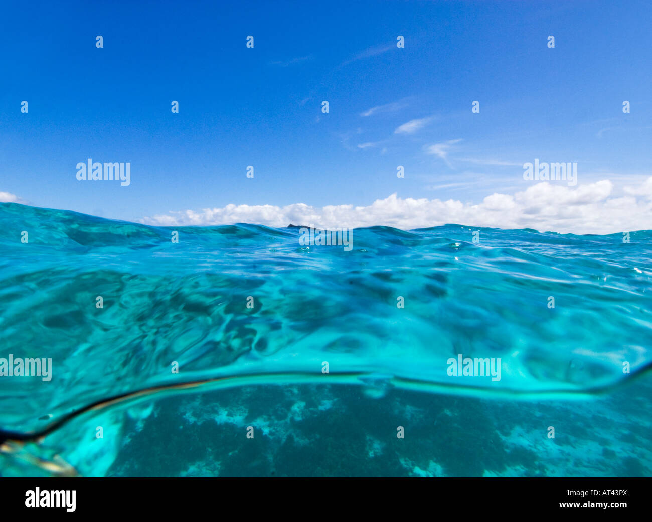 samoan dream SAMOA island blue green waters sea sun South southsea sea ...