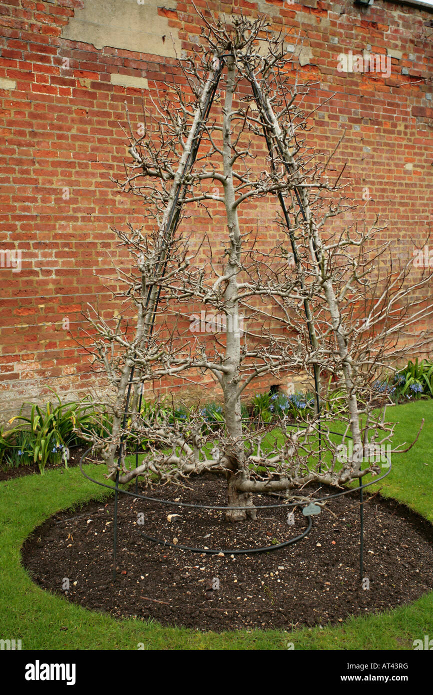 Dome shape hi-res stock photography and images - Alamy